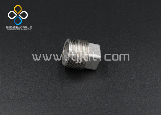 304 or 316 stainless steel pipe fittings/Square Plug with top quatily supplier