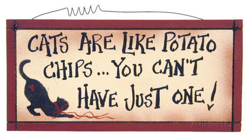 China “Cats Are Like Potato Chips” wooden quote wall hanging plaque Wooden Sign supplier