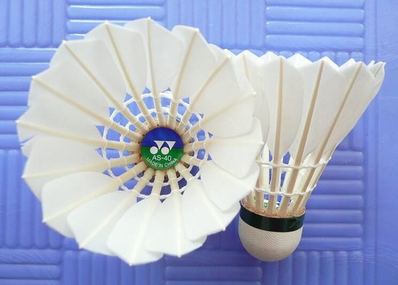 original Yonex Aerosensa shuttlecocks AS50 AS40 AS30 AS20 badminton wholesale price