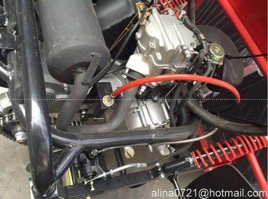250cc Water-Cooled Chain Drive Go Kart With EEC / COC