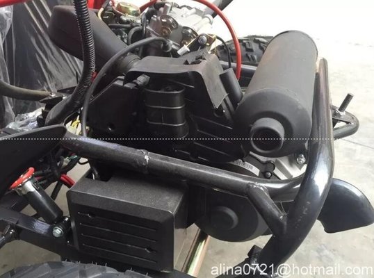 250cc Water-Cooled Chain Drive Go Kart With EEC / COC