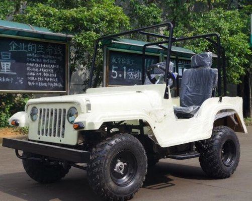 4 Storke CVT with Reverse 150cc UTV Buggy with Ce (JY-ATV020)