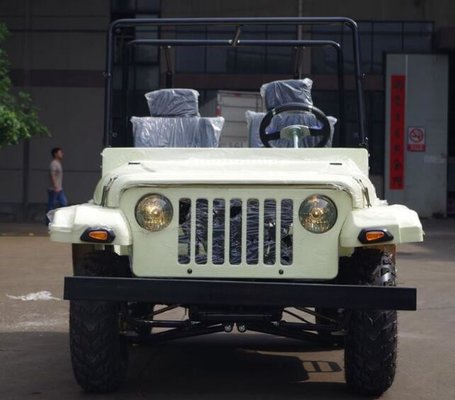 4 Storke CVT with Reverse 150cc UTV Buggy with Ce (JY-ATV020)