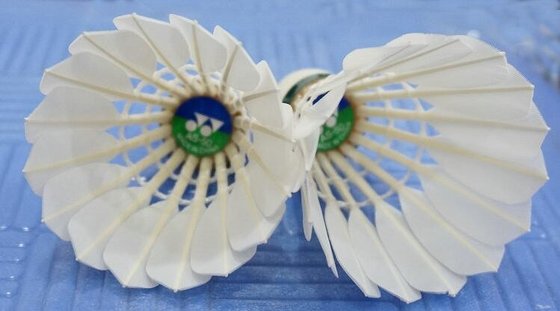 Yonex AS 50 badminton shuttlecocks