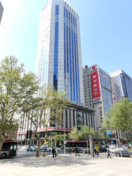The TNN Development Limited