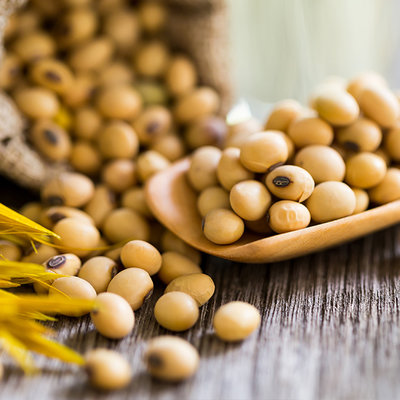 Emulsifier Liquid Soy Lecithin , Industrial Grade Soya Lecithin Release Agent