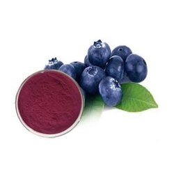 Vaccinium myrtillus L. Bilberry Extract Powder