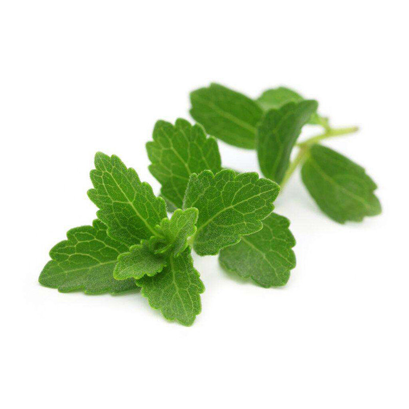 stevia en polvo precio al por mayor importador de la stevia