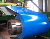 Cold Rolled Stainless Steel Coil