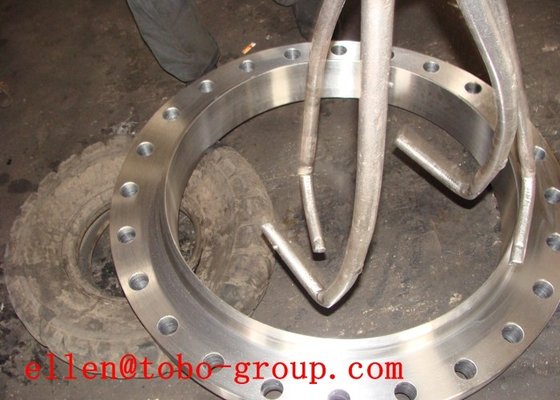 TOBO STEEL Group  C207 class B/D steel-ring AL6XN flanges