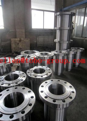 Stainless Steel 317 Long Weld Neck Flange