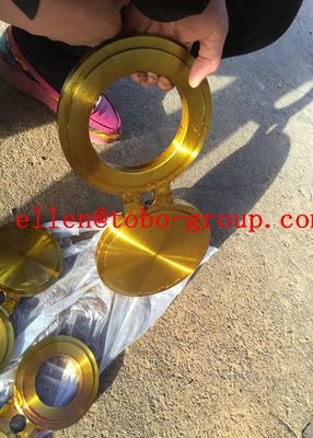 Stainless Steel 317 Blind Flange