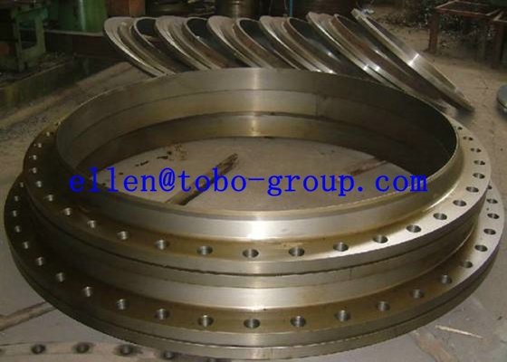 TOBO GROUP AISI SAE 8360 Slip on Flange