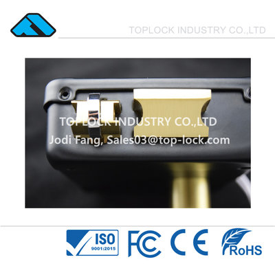Hot Selling Electronic Euro Lock Electric Rim Door Lock Black Color Solid Brass Cylinder and Latch