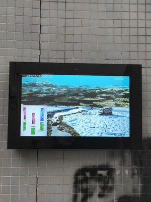 Dedi indicador digital de la prenda impermeable de 49 pulgadas del LCD de la publicidad del diseño montado en la pared al aire libre del quiosco