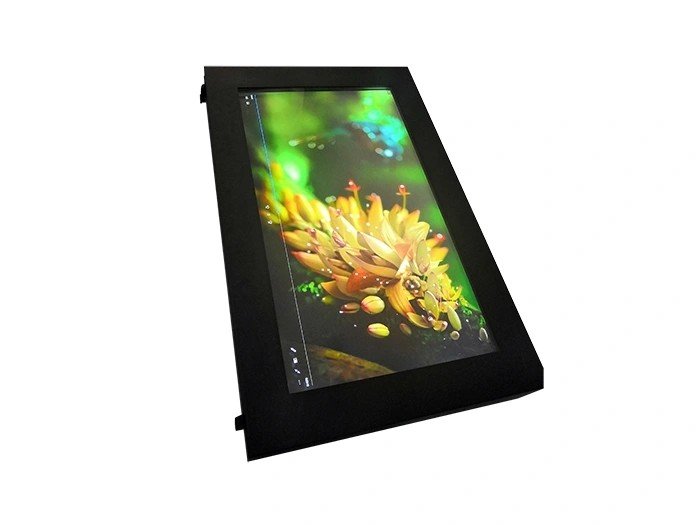 Anti Glare Wall Mounted LCD Signage Dedi 43 Inch HD High Brigtness Outdoor