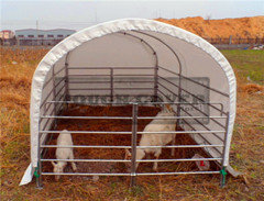 China Cattle Barns,3m(10') wide Livestock Barns,Housing supplier
