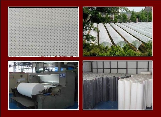 Anti-aging PP Non Woven Fabric UV Treated Agriculture Weed Control Nonwoven Fabrics
