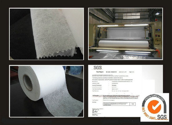 Hydrophilic Diaper Sheet Material Medical Non Woven Fabric Anti-Bacteria 10gsm - 250gsm