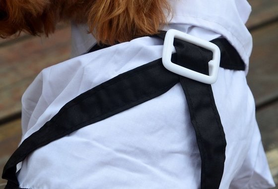 Customized White Black Boy Dog Pet Wedding Party Dress Jackets OEM / ODM