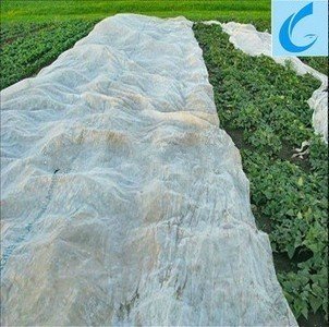 17g pp spunbond non-woven fabric for agriculture
