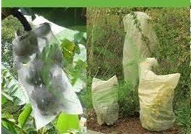 17g pp spunbond non-woven fabric for agriculture