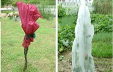 17g pp spunbond non-woven fabric for agriculture