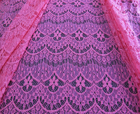 New arrival nylon hollow scalloped fabric lace dress garment accessory(CY-DK0039)