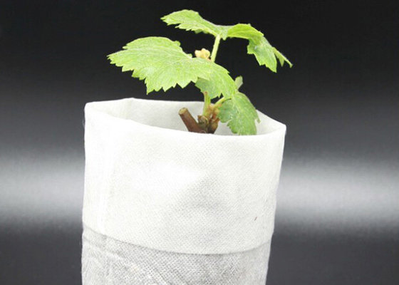 2% UV PP Spun - bond Agriculture Non Woven Landscape Fabric All GSM