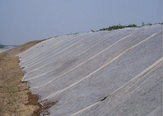 2% UV PP Spun - bond Agriculture Non Woven Landscape Fabric All GSM