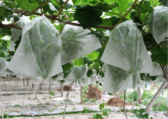 Anti-UV PP Spunbonded Agriculture Non Woven Landscape Fabric Eco-Friendly