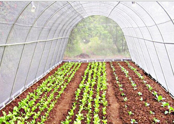 Tear Resistant Spun Bonded Non Woven Weed Control Fabric for Agriculture and Landscape Industry