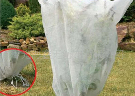 Tear Resistant Spun Bonded Non Woven Weed Control Fabric for Agriculture and Landscape Industry