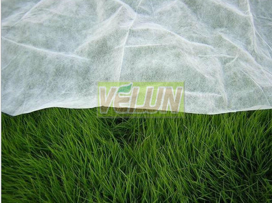 Biodegradable Non Woven Landscape Fabric