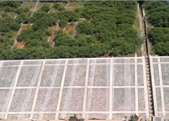 Transparent Non Woven Landscape Fabric