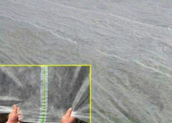 Transparent Non Woven Landscape Fabric