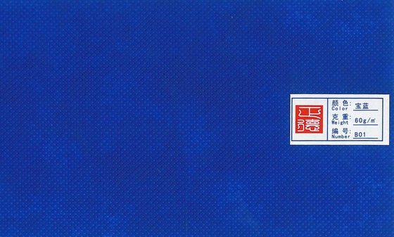 Hospital Medical Use Polypropylene Nonwoven Fabric  Printed and Laminated PP Non Woven Material