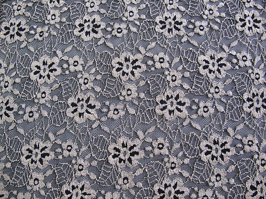 Floral Brushed Elastic Lace Fabric Ivory Stretchable AZO Free Dyeing CY-LW0652