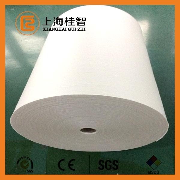 Eco Frie 100% Bamboo Spunlace Nonwoven Wipes Spunbond Non Woven Fabric