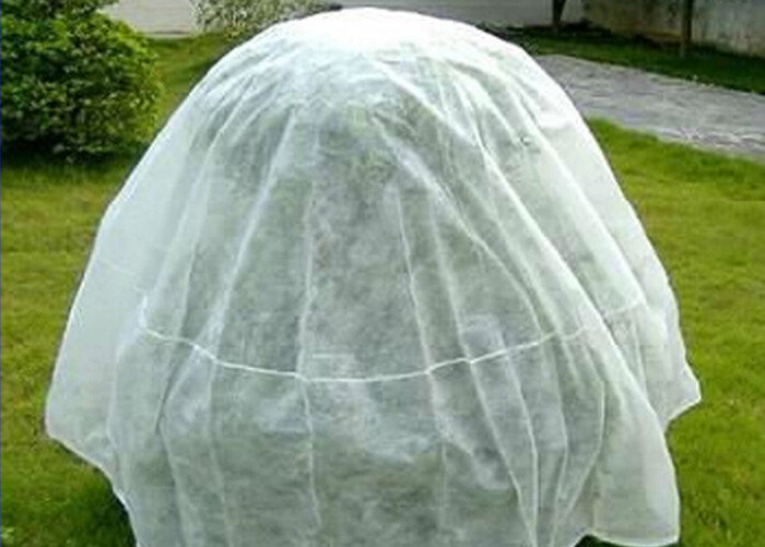 Agricultural Plant Covers Non Woven Landscape Fabric Waterproofing Materials