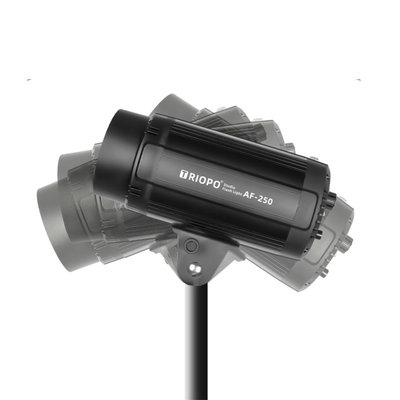 TRIOPO Mini studio flash strobe flash lighting in photographic equipment Photo flash lighting（AF-250）
