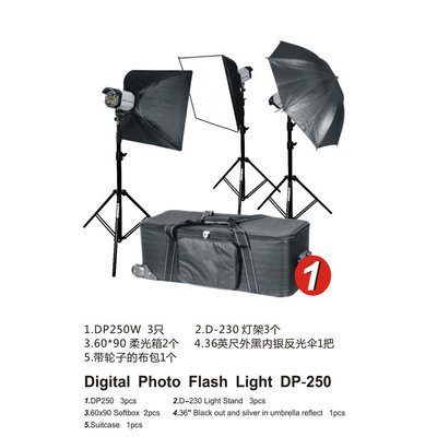 OUBAO series Photo Studio Strobe Flash Lighting Kit (DP-320)