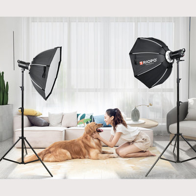 White 5600K Version  Continuous LED Studio lighting Kit Bowens Mount triopo Softbox OEM Better EX-60II