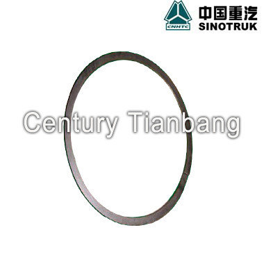 Sinotruk Howo truck parts Seal ring VG260110162.