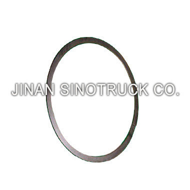 Truck parts Seal ring VG260110162 .