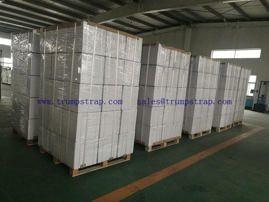 composite strap, polyester strap, cordstrap, cordlash, dunnage bag, air bag,woven strap in transport/logistics package
