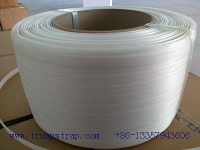 composite strap, polyester strap, cordstrap, lash webbing, dunnage bag, FIBC,woven strap in transport/logistics package