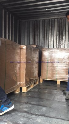 Air Bag, Dunnage Bag, Dunnage Air Bag, Air dunnage bag, kraft air bag, container air bag for Container Packaging