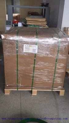 Air Bag, Dunnage Bag, Dunnage Air Bag, Air dunnage bag, kraft air bag, container air bag for Container Packaging