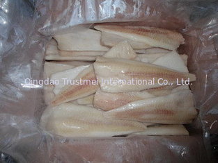 Frozen Alaska pollock fillets